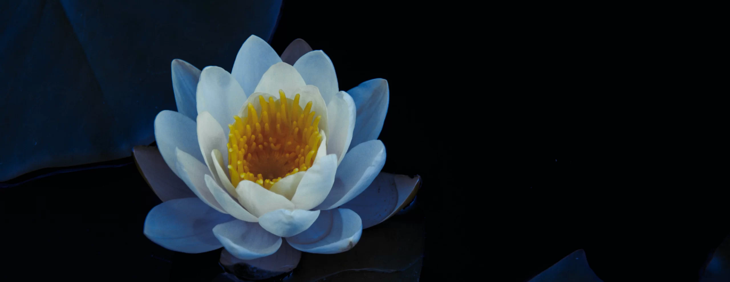 What are the Benefits of Light Language? - Light Codes By Laara